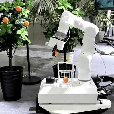 China Lightweight Mobile Fruit Picking JAKA MiniCobo 1kg 580mm 6Axis Cobot Binocular for sale