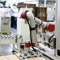 China Lifting Palletizing Workstation JAKA Zu20 20kg 1780mm 6Axis Cobot with Optional 3D for sale