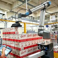 China 30kg Payload UR30-1300 Collaborative Robot Arm Human-Robot Automatic Palletizer for sale