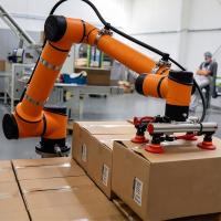 China Modular AUBO 30kg Collaborative Robot Palletizer Station Cobot for Carton Box for sale