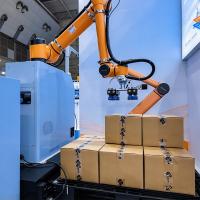 China Modular AUBO 30kg Collaborative Robot Palletizer Station Cobot for Carton Box for sale