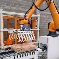 China AUBO Cobot Palletizing Workstation 20kg Payload Collaborative Robot for Automatic for sale