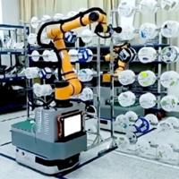 China Automatic Robot Arm AUBO IS20 Handling Collaborative Robot 1647mm Arm with Robot for sale