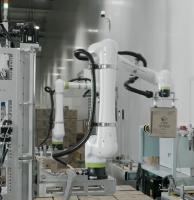 China FANUC CRX-5iA Collaborative Robot 5kg Payload 994mm Reach 6-Axis Cobot with PLC & Gearbox for Carton Palletizing CE Certified for sale