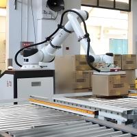 China Huayan S30 Industrial Collaborative Robot Arm 30kg Payload 6 Axis Cobot PLC Motor Stainless Steel for Automatic Palletizing for sale