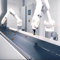 China KUKA KR4 R600-3 4kg Payload Picking and Packing Robot 600mm Reach Vision for sale