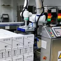 China Elite CPL07-CS620 Cobot Workstation 20kg Payload 1800mm Reach Collaborative Robot for End-of-Line Palletizing for sale