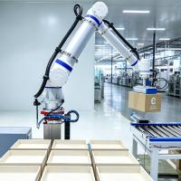 China CPL07-CS530H 30kg Payload Collaborative Palletizing Station Carton Stacking for sale