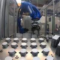 China Yaskawa GP25 25kg Payload Handling Robot 1730mm Reach CNC Loading 3D Vision for sale