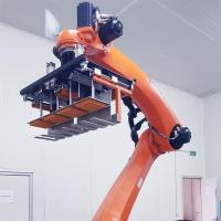 China KUKA KR50 R2500-2 50kg Payload Handling Robot 2500mm Reach Bin Pallet for sale