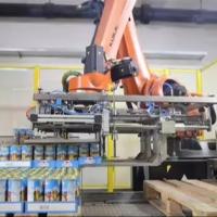 China KUKA 800kg Payload Palletizing Robot 3200mm Reach Gripper Steel for sale