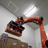 China KUKA KR140 R3200-2PA 6 Axis Robot Arm High Speed Stable for Carton Palletizing in Food Packaging Industry for sale