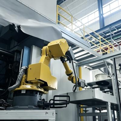 China CE Certified FANUC R-1000iA/100F 6 Axis Industrial Robot 100kg Payload for Magnesium Alloy Die Casting Handling for sale