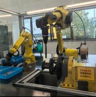 China Compact Fanuc M-10iD/12 145kg Payload 1441mm Reach 6-Axis with PLC & Engine Custom Grating IP67 Protection for Laser Welding for sale