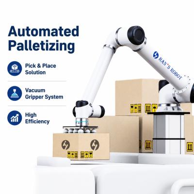 China Huayan S20 S30 S40 Cobot Palletizing  Robot Workstation 6 Axis Collaborative Robot for Box Carton Pick and Place with Gripper for sale