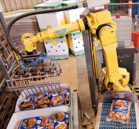 China FANUC M-710iC/70 6-Axis Industrial Robot 70kg Payload 2050mm Reach Heavy-Duty Palletizing Assembly for for sale
