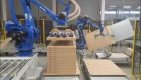 China Yaskawa RH200RF Palletizing Arm 200 kg Payload 3505 mm Reach for sale