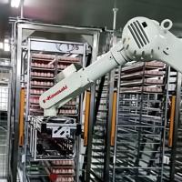 China Table Gentle Handling Kawasaki RS080N 80kg 2100mm 6Axis Robot Arm with Motor for Egg Tray Automatic Palletizing & Transport IP67 for sale