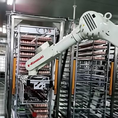 China Table Gentle Handling Kawasaki RS080N 80kg 2100mm 6Axis Robot Arm with Motor for Egg Tray Automatic Palletizing & Transport IP67 for sale