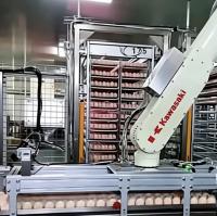 China Table Gentle Handling Kawasaki RS080N 80kg 2100mm 6Axis Robot Arm with Motor for Egg Tray Automatic Palletizing & Transport IP67 for sale