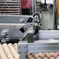 China Table Gentle Handling Kawasaki RS080N 80kg 2100mm 6Axis Robot Arm with Motor for Egg Tray Automatic Palletizing & Transport IP67 for sale