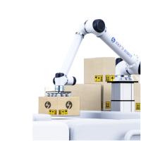 China Heavy-Duty 60kg Cobot Robotic Palletizer Stacker with Vacuum Gripper for Carton for sale