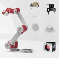 China Intelligent AI Automatic Sorting Stacking Palletizing Gripper Suction Cup 6 Axis for sale