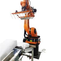 China KUKA Robot KR 16 R1610-2, in Combination with Non-standard Suction Fixtures Accomplishes Efficient and Stable Handling for sale