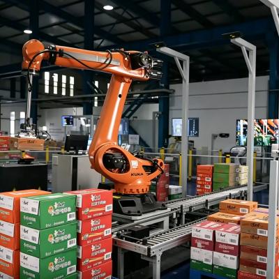 China KUKA KR 300 R2700-2 Load Unload Robot with Multi Suction Heads for sale