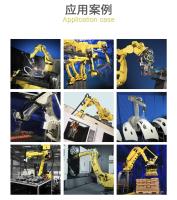 China Fanuc R2000iC 210F Spray Painting and Palletizing Robot with 2655 mm Reach for sale