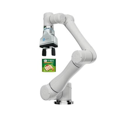 China Low Cost Collaborative Cobot Palletizer for Entry Level Lines for sale