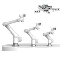 China Low Cost Collaborative Cobot Palletizer for Entry Level Lines for sale