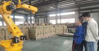 China ESTUN ER170B-2650 Palletizing Arm 170 kg Payload 2650 mm Reach for sale