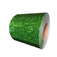 China 1250mm Galvanized PPGL Steel Coil Full Hard Color Coated Prepainted for sale