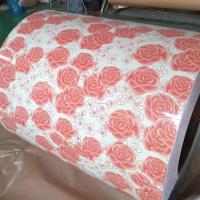 China Boxing Color Steel Steel Coil Sheet Prepainted PPGL Galvanized for sale