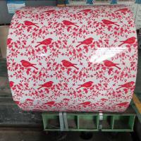 China Boxing Color Steel Steel Coil Sheet Prepainted PPGL Galvanized for sale