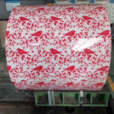 China Boxing Color Steel Steel Coil Sheet Prepainted PPGL Galvanized for sale