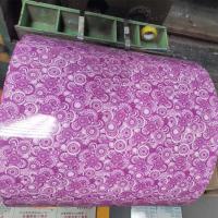 China Galvanized PPGL Steel Coil Sheet 750mm Width RAL Color for sale