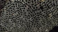 China Carbon Steel Pipe Large Schedule 40 ASTM A53 Gr. B ERW for Food/Beverage/Dairy Products for sale