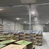 China Fruit / Vegetable Freezer Cold Room Cold Storage Units Fast Assembly Large Capacity for sale