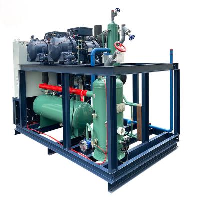 China Compact Structure Refrigeration Rack Unit Screw Parallel Unit For Walk In Cooler for sale