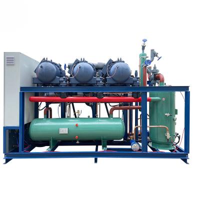 China 2000kg Screw Parallel Unit Made of Sturdy Metal for Industrial Applications walk in cooler for sale