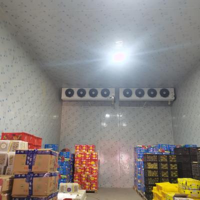 China R404a / R134a Refrigerant Fruit Cold Storage Room With Precise Temperature Control for sale