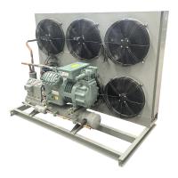 China Compressor Freezer Room Condensing Unit for Cold Storage refrigeration system for sale