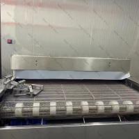China Versatile IQF Tunnel Freezer 1000kg/h With Direct Expansion Cooling System for sale