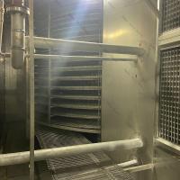 China Continuous Quick Freezing Equipment 1000kg/h Customized Size for sale