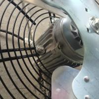 China Stainless Steel IQF Tunnel Freezer Customized Individual Quick Freezing Equipment for sale