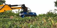 China Hydraulic Mechanical Grapple Tool Mechanical Grapple Grip with 800mm Cutting for sale