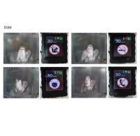 China 5V-12V Mini LED Display For Visual Reminder AI MDVR ADAS DSM BSD HOD Speed Alarm for sale