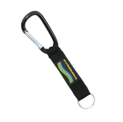China Eco Friendly Carabiner Key Chain Clip for Fishing Hiking Durable 50kN Strength for sale